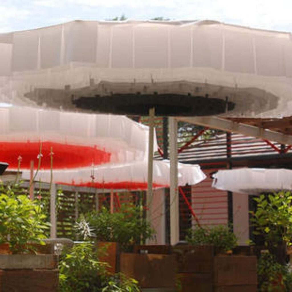 PARASOL DE DISEÑO BLOOM, ORIGINAL, DIFERENTE Y EXCELENTE